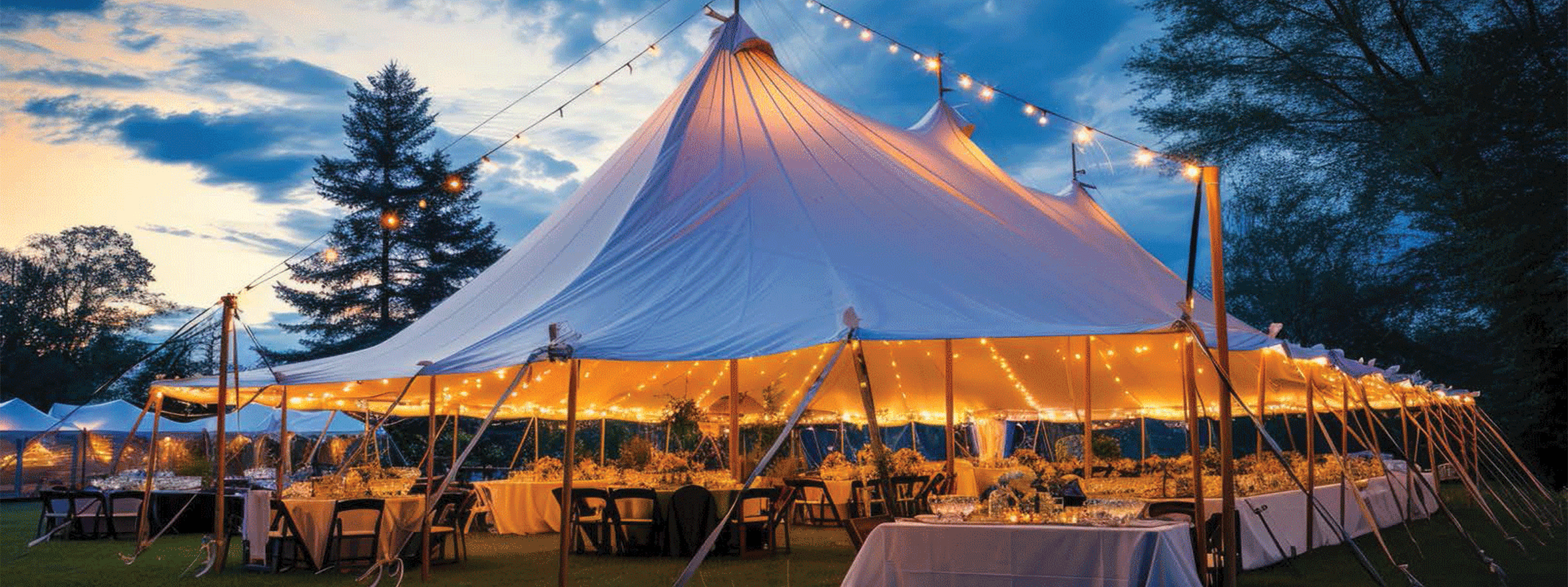 Home - Adaptive Vision Ltd